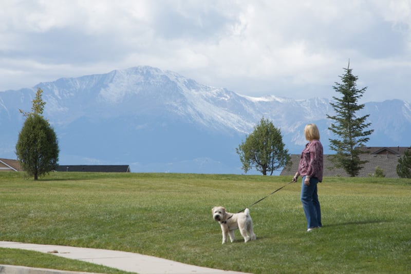 Banning Lewis Ranch in Colorado Springs Photo Gallery